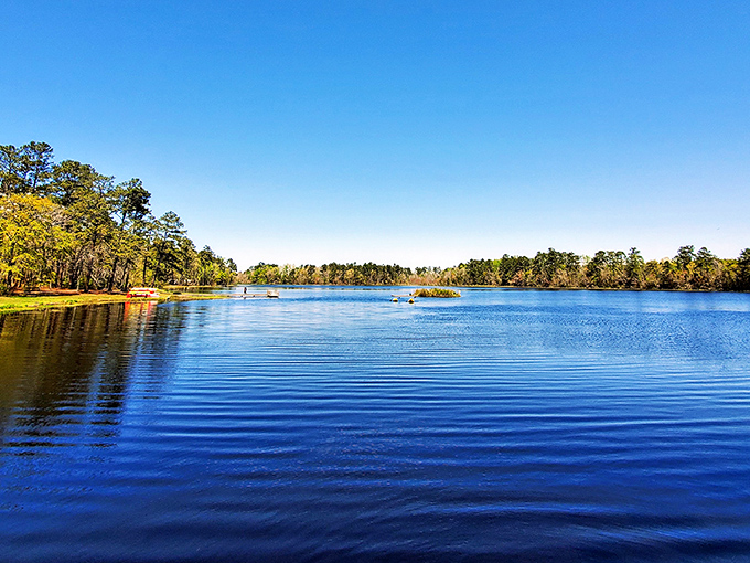 Mother Nature's mirror game is strong here. The lake's surface reflects the sky so perfectly, you might forget which way is up.