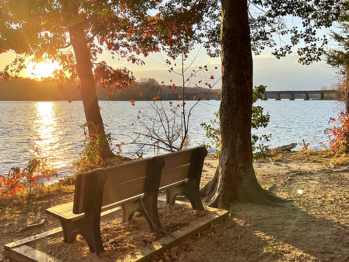 A sunset bench that whispers, "Sit here and forget your problems." Nature's therapy session comes with a water view and no copay.