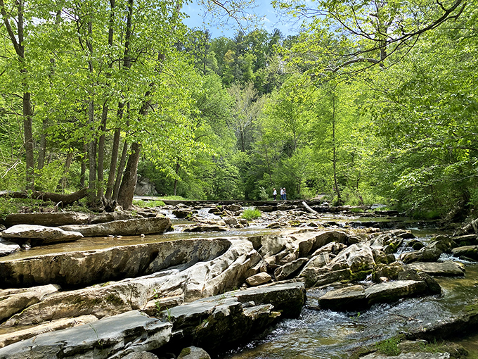 Cedar Creek carves its way through ancient limestone, creating a serene pathway that whispers tales of geological patience spanning millions of years.