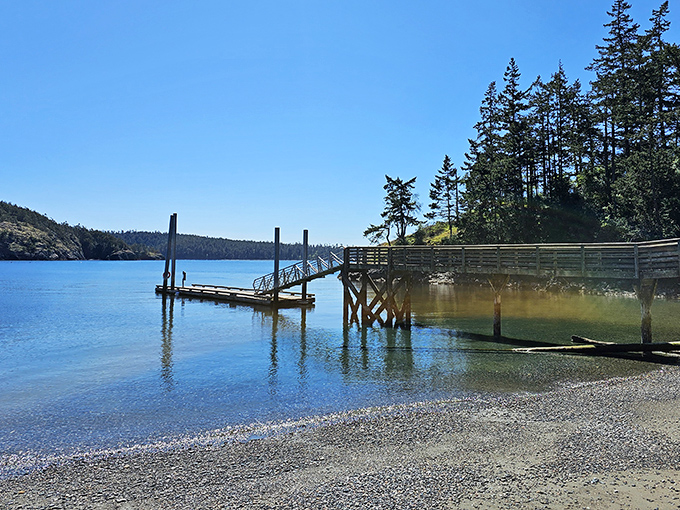 Nature's perfect dock, where the water is so clear you'll wonder if someone secretly installed glass. Pacific Northwest perfection.