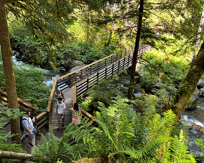 Nature's architectural masterpiece unfolds at Wallace Falls State Park, where wooden bridges and emerald ferns create the Pacific Northwest's most perfect postcard setting.