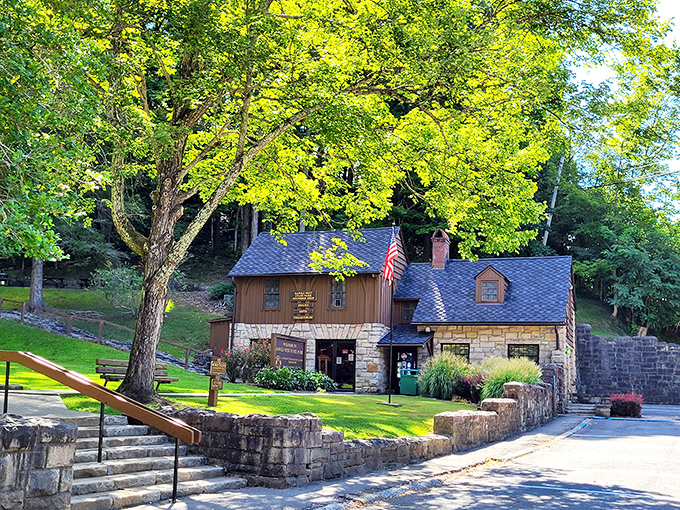 Rustic charm meets woodland serenity at the park's museum building, where stone and timber architecture blends perfectly with the surrounding forest canopy.