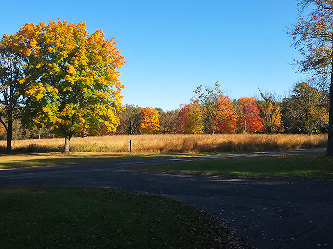 Sometimes the best adventures come wrapped in golden leaves and crisp Wisconsin air that whispers "slow down."