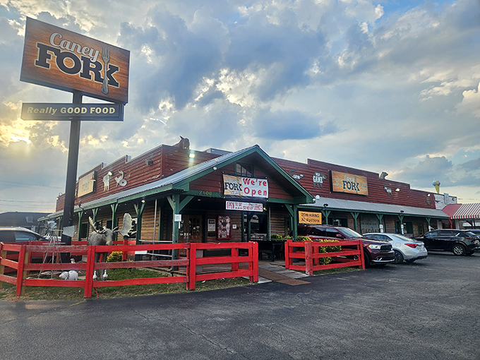 "We're Open" might be the understatement of the year when you see what awaits behind that rustic wooden facade and cheerful red fence.