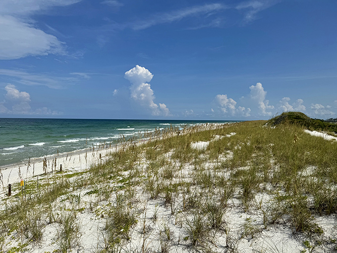 Mother Nature's masterclass in serenity. Where powdery white sand dunes meet the endless blue horizon, creating Florida's most perfect beach equation.