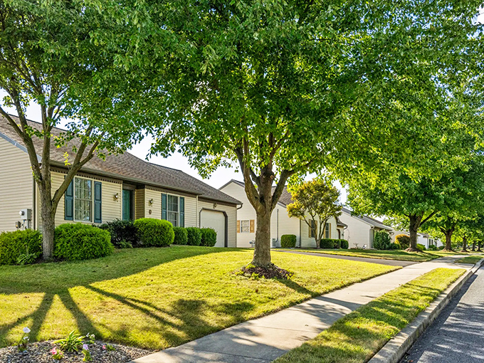 Tree-lined streets and manicured lawns create the suburban dream without the suburban mortgage. Retirement living that doesn't scream "retirement."