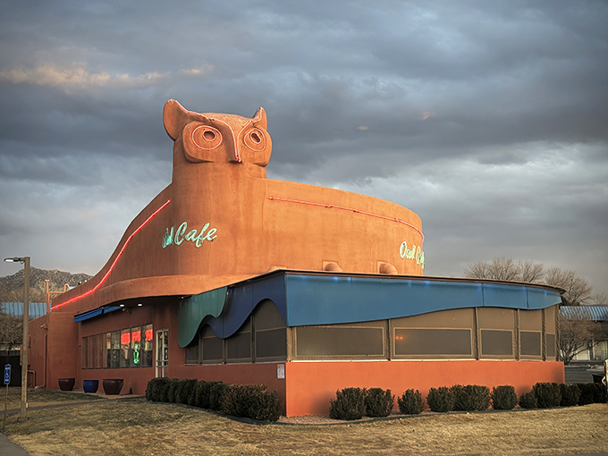Silhouetted against dramatic clouds, this owl doesn't give a hoot about subtlety &ndash; it boldly announces its presence as Albuquerque's temple of diner classics.