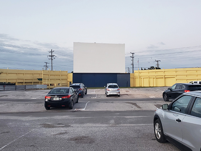 The classic white screen awaits dusk's arrival, standing tall against Florida's blue sky—cinema's most honest canvas.