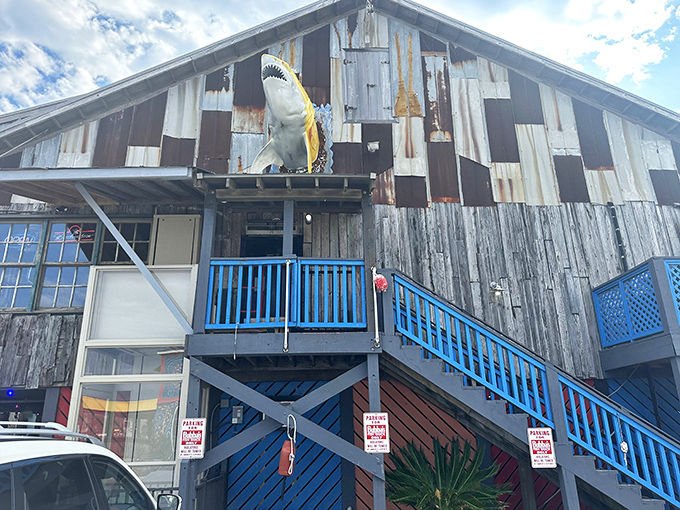 That shark isn't just decoration&mdash;it's a warning to other fish about what happens if they're too delicious. The weathered exterior only adds to Bubba's authentic charm.