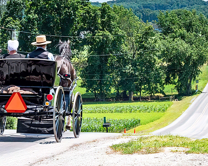 When your morning commute involves hoofbeats instead of honking, you know you've found somewhere special in Indiana's countryside.