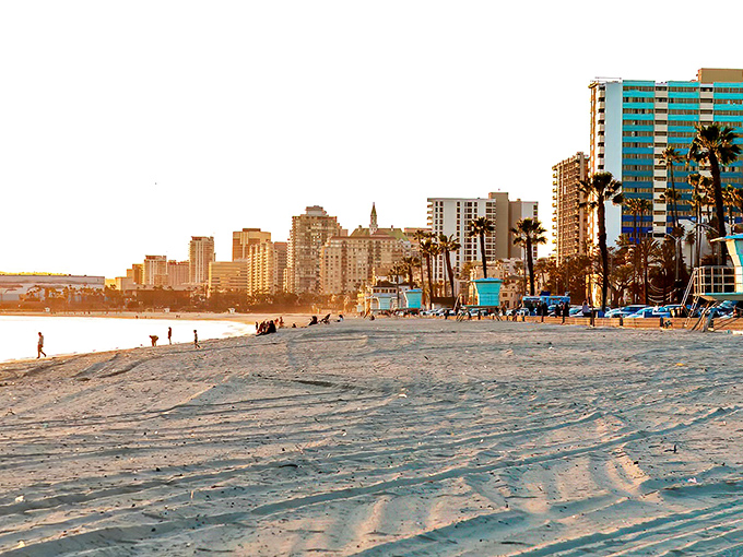 Golden hour transforms Long Beach's shoreline into a postcard-perfect scene where high-rises and palm trees compete for who's having the better hair day.
