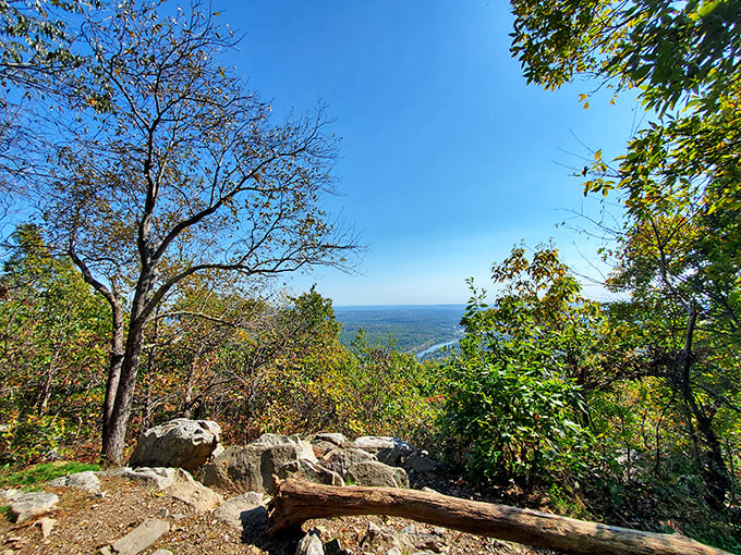 Nature's balcony awaits. The rocky outcrop at Resort Point Overlook offers front-row seats to Delaware's most spectacular panoramic show.