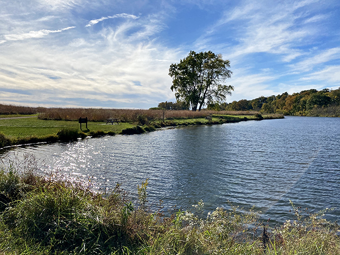 Where water meets wilderness: Prophetstown's serene shoreline offers a front-row seat to nature's daily performance, no ticket required.