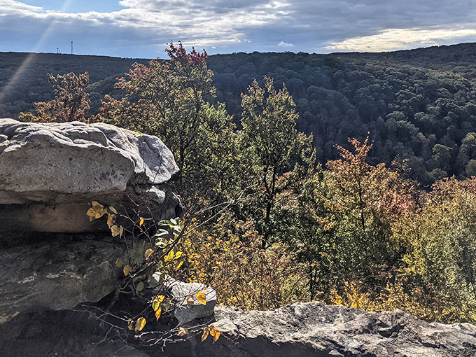 Where ancient rock formations meet autumn foliage, creating Pennsylvania's most spectacular natural balcony.