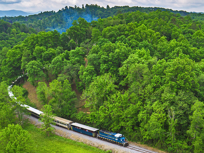 The Blue Ridge Scenic Railway winds through a lush green canopy like a steel serpent, offering a front-row seat to nature's grandest show.