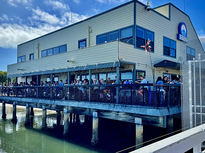 Perched over the water like a seagull eyeing its next meal, Mitch's Seafood offers dining with a view that rivals the food for star power.