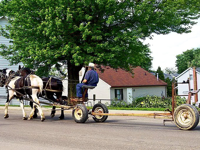 Where time slows down and horse-drawn buggies aren't tourist attractions but Tuesday's commute. A glimpse into Mount Hope's everyday transportation.