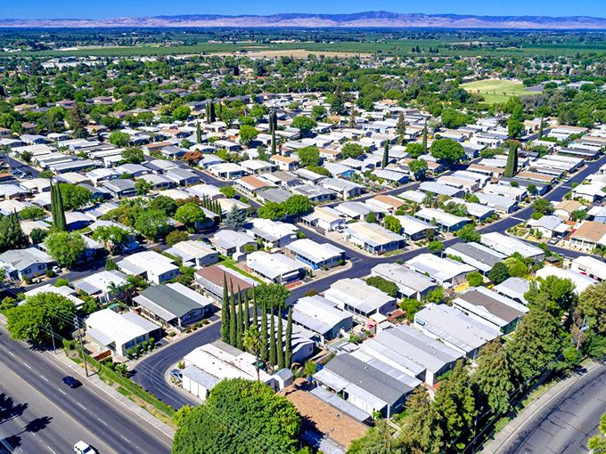 From above, Gustine reveals itself as a perfect grid of modest homes and tree-lined streets&mdash;California living without the traffic-induced therapy bills.