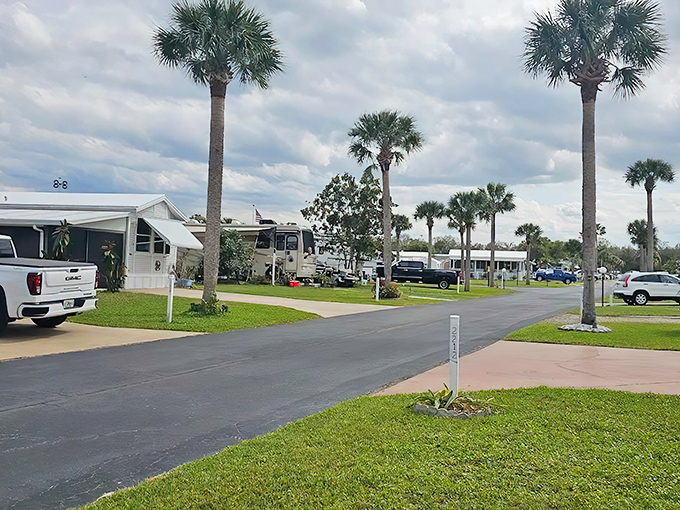 Downtown Wauchula's charming fountain plaza invites visitors to pause and enjoy the simple pleasure of community gathering. The historic buildings provide a picturesque backdrop for this slice of authentic Florida life.