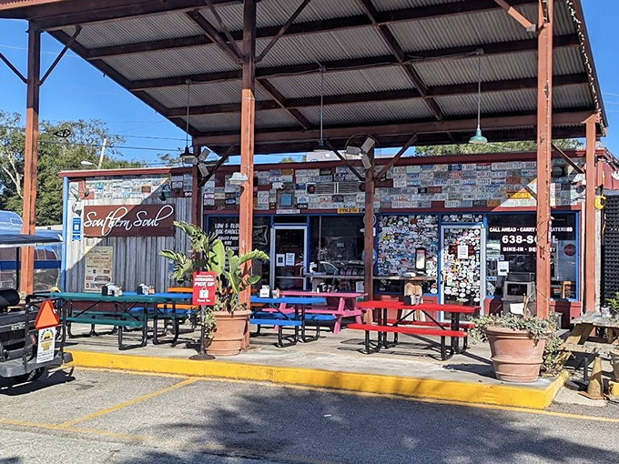 Southern Soul's colorful picnic tables and license plate-covered walls create the perfect backdrop for barbecue bliss. No reservations, no pretension, just meat magic.
