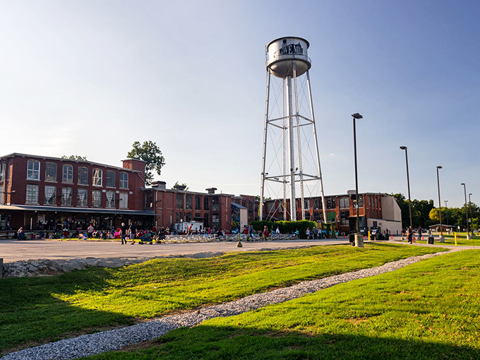 Camden's iconic water tower stands guard over downtown, a beacon reminding you that small-town charm still exists in America.