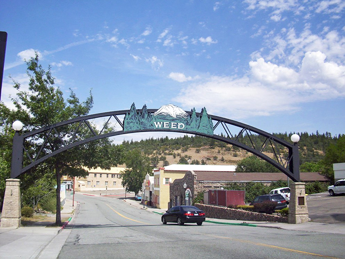 The iconic Weed arch welcomes visitors with a wink and a nod &ndash; your first clue that this affordable mountain town doesn't take itself too seriously.