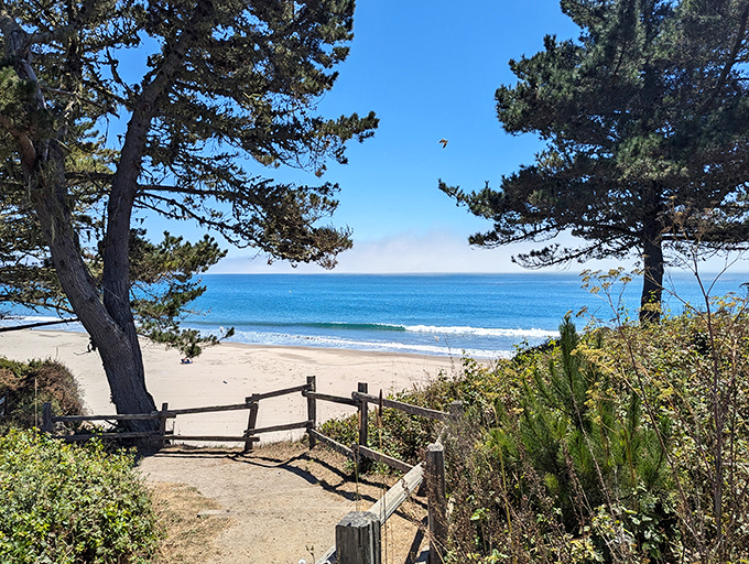 Nature's perfect frame! The path to this pristine beach feels like stepping through a portal to your own private coastal paradise.