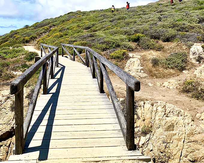 Wooden boardwalks lead to adventure like breadcrumbs in a fairy tale. This weathered path invites you to discover what lies beyond the coastal hills.