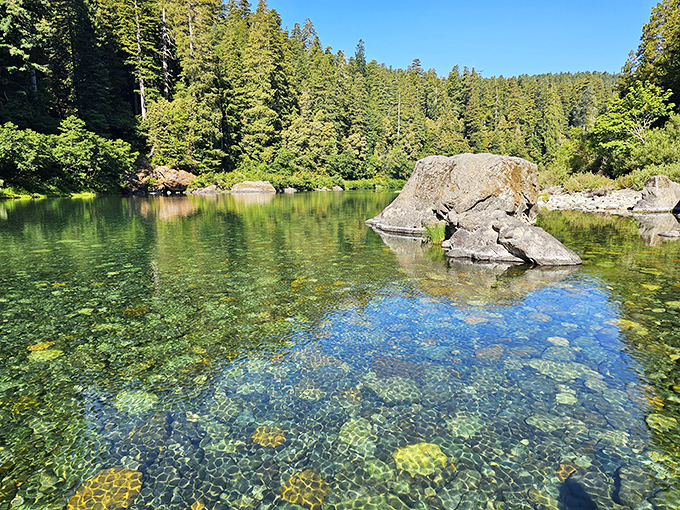 The Smith River's crystal-clear waters invite you to dip your toes while ancient sentinels stand guard. Nature's version of a five-star resort.