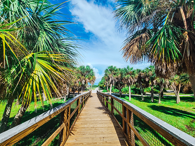 The wooden boardwalk to paradise beckons through a tunnel of swaying palms. Florida's natural side shows off without a single roller coaster in sight.