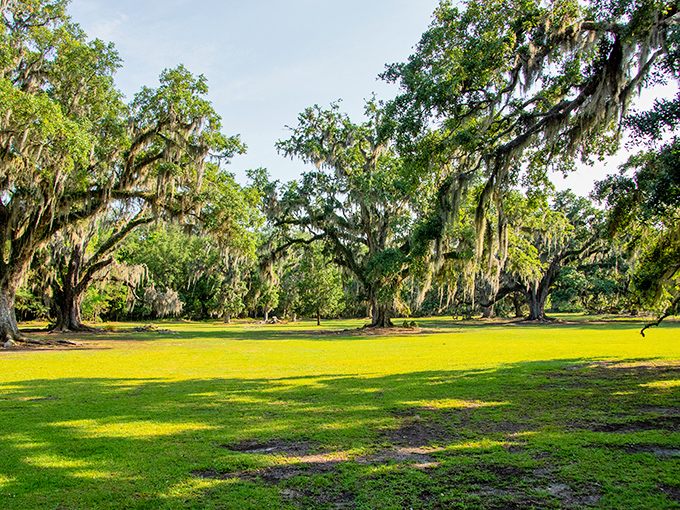 Where Spanish moss meets shoreline magic. Lake Pontchartrain stretches out like nature's welcome mat, inviting you to kick off your shoes and stay awhile.
