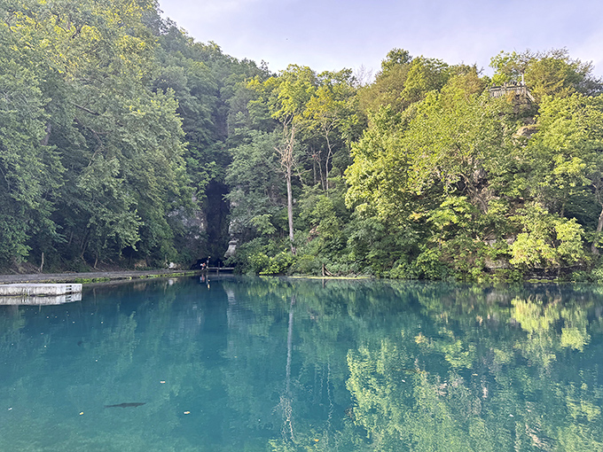 Mother Nature showing off with that impossible blue-green water. If Pantone made a color called "Ozark Magic," this would be it.