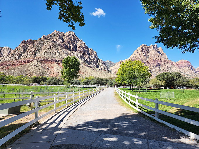 This picture-perfect pathway invites you to stroll between two worlds: the cultivated ranch and the wild, untamed mountains beyond.