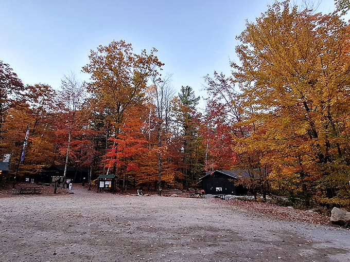Fall's grand finale at Monadnock State Park headquarters. Nature's showing off with a color palette that makes even the most sophisticated art galleries jealous.