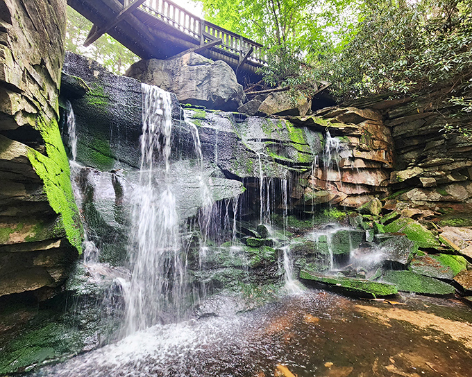 Water meets rock in a timeless dance at Blackwater Falls. The amber-tinted cascade tumbles over moss-kissed stones, creating nature's own soothing soundtrack.