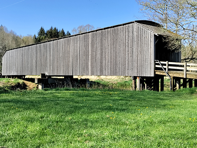 The weathered wooden exterior of Grays River Covered Bridge stands as a testament to craftsmanship that's outlasted countless modern structures.