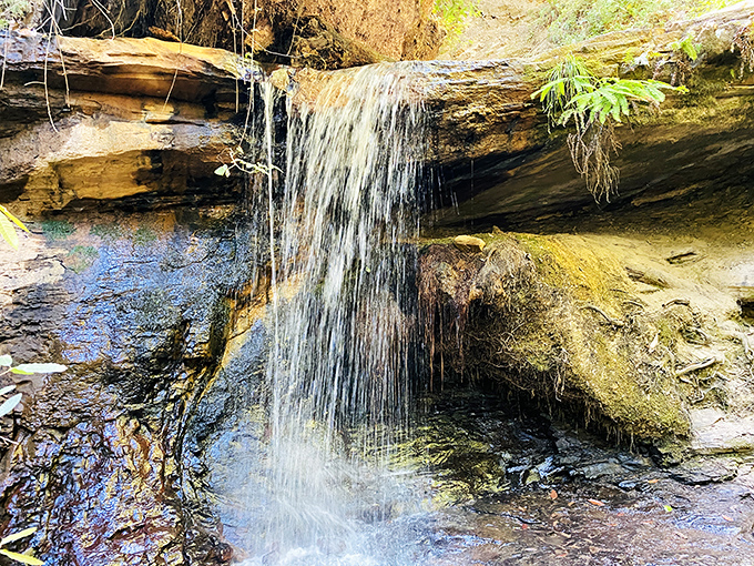 Mother Nature's version of a spa treatment&mdash;this gentle waterfall creates the kind of soundtrack you'd pay good money for on a meditation app.