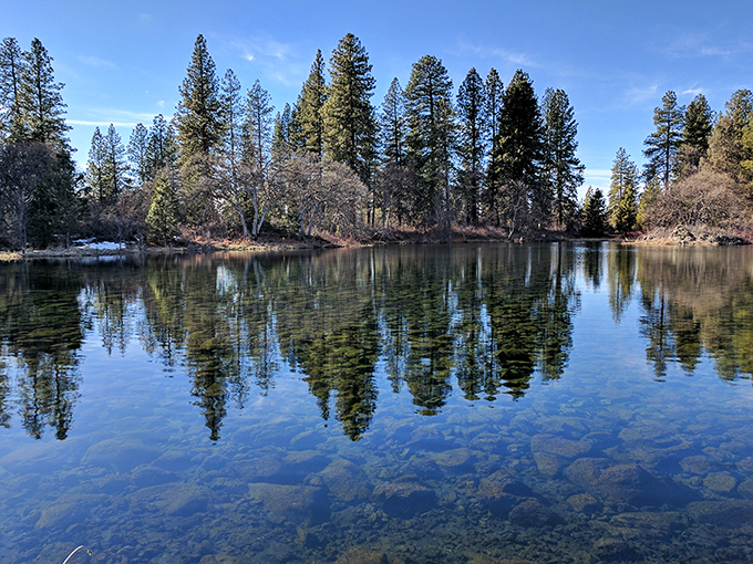 Mirror, mirror on the water &ndash; pine trees create perfect reflections in the crystal-clear springs that give this hidden California gem its name.