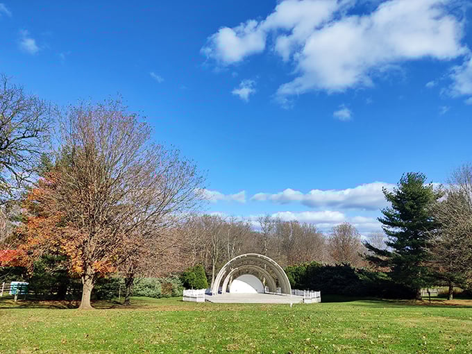 The bandshell stands like a modern-day Colosseum for music lovers, where summer concerts transform ordinary evenings into magical memories.