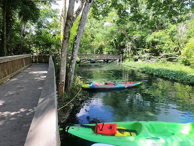 Colorful kayaks wait patiently for adventure-seekers, like eager puppies hoping for an afternoon walk.