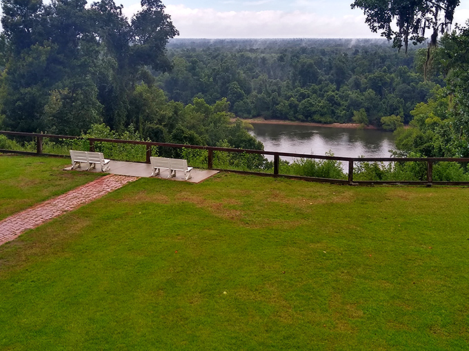 Breathtaking bluff views that make you question whether you're still in Florida. The Apalachicola River winds below like nature's own lazy river, minus the chlorine.