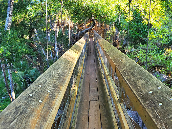 The Canopy Walkway at Myakka offers a squirrel's-eye view of Florida's wild side. Nature's theme park doesn't need neon signs or mascots.