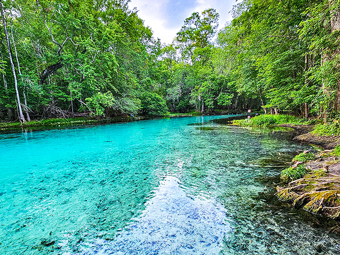 Mother Nature's swimming pool comes with the ultimate filtration system. This electric blue oasis makes Caribbean beaches look like they need to up their game.
