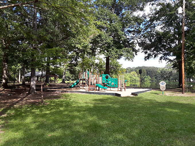 The playground at LeFleur's Bluff offers a perfect balance of nature and fun, where kids can swing while parents admire the serene lake views.