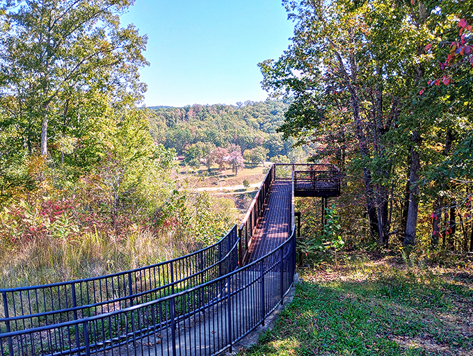 The winding boardwalk at Echo Bluff feels like nature's red carpet, inviting you to a premiere showing of Missouri's finest autumn colors.