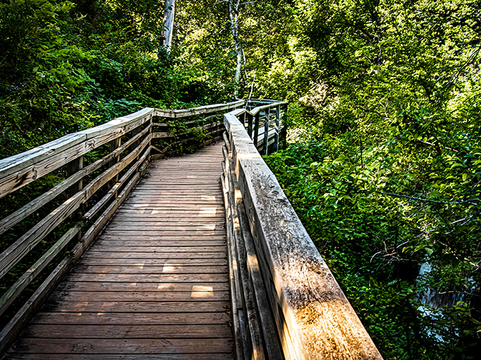 The wooden boardwalk at Smith Falls winds through lush greenery, creating a journey that's as magical as the destination itself.