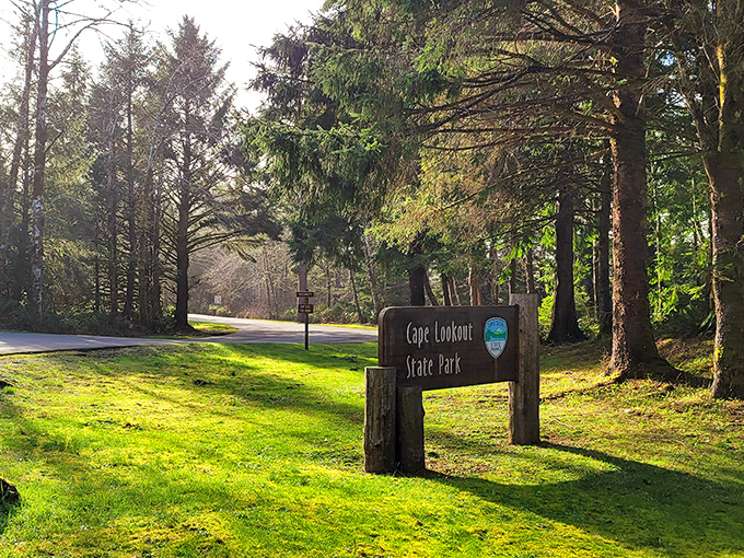 Welcome to your new favorite escape route, where the only traffic jam involves squirrels crossing.