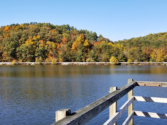 Nature's welcome sign! The entrance to Little Buffalo State Park promises adventures that don't require downloading an app or charging a battery.