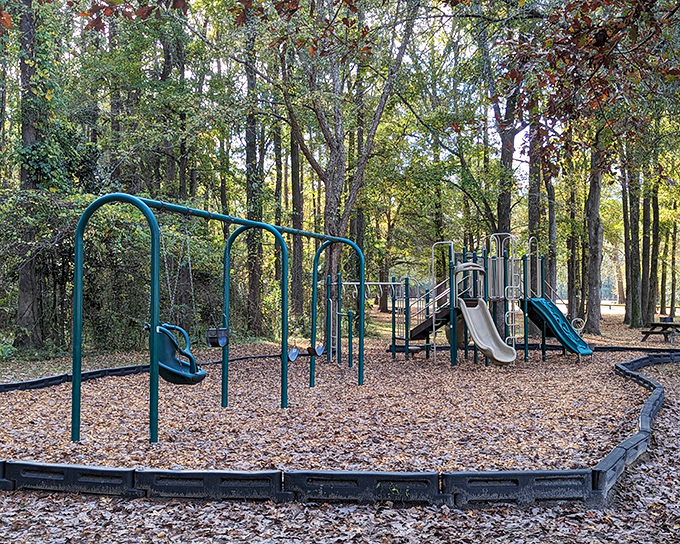 Nature's playground awaits the young and young-at-heart. These swings and slides might be the only screen time your kids need after all.