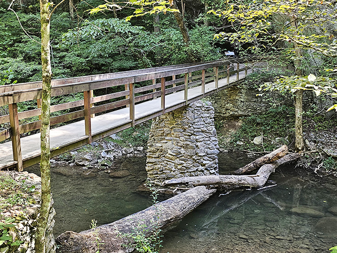 Cedar Creek carves its way through ancient limestone, creating a serene pathway that whispers tales of geological patience spanning millions of years.